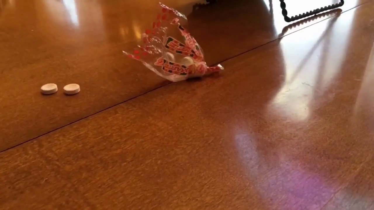 Aliens eat my smarties - YouTube