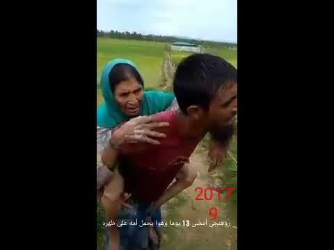 Annesini yaklaşık 13 gündür sırtında taşıyan Arakanlı