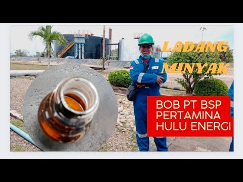 Berkunjung ke Lapangan Minyak Zamrud Blok CPP di Siak Riau - YouTube
