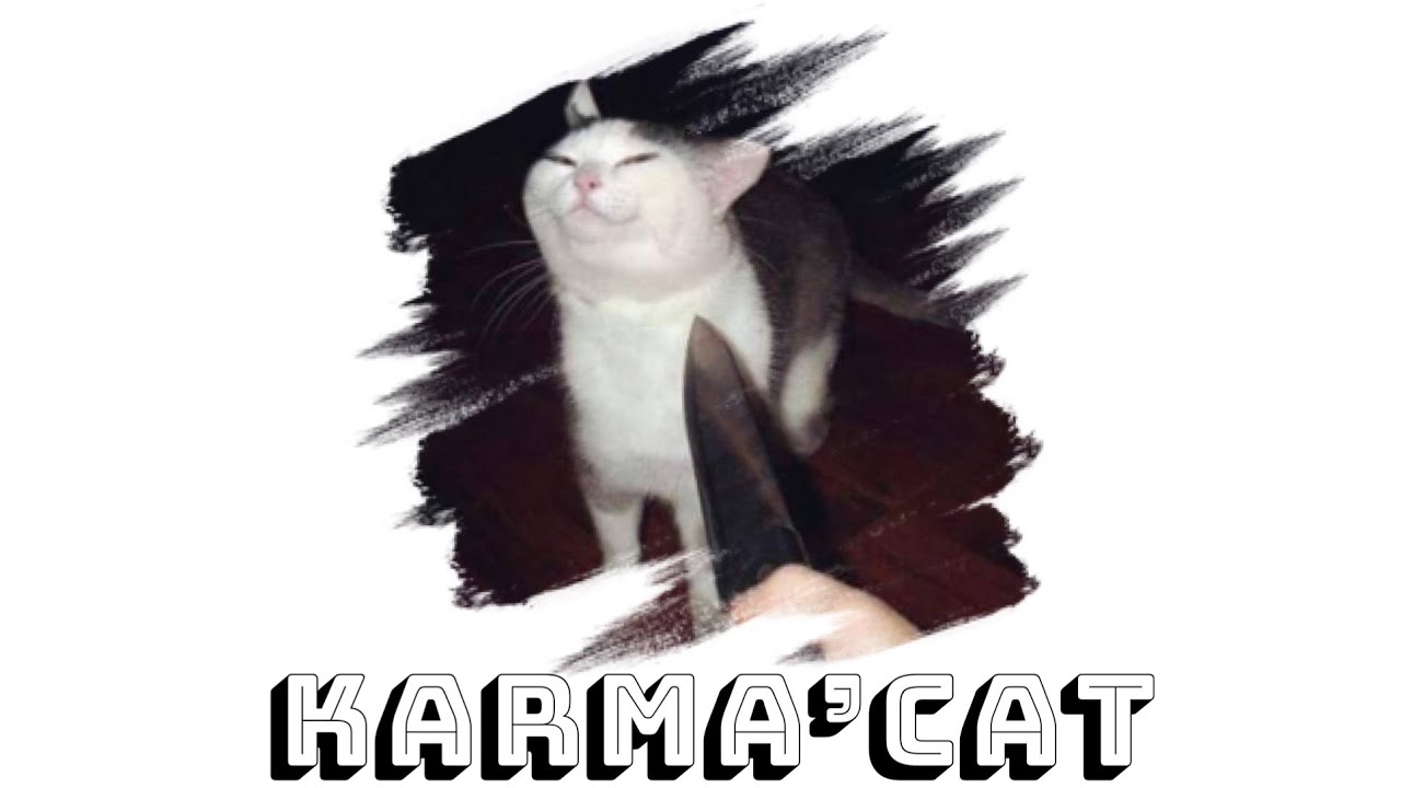 It’s Here: The Karma’Cat - YouTube