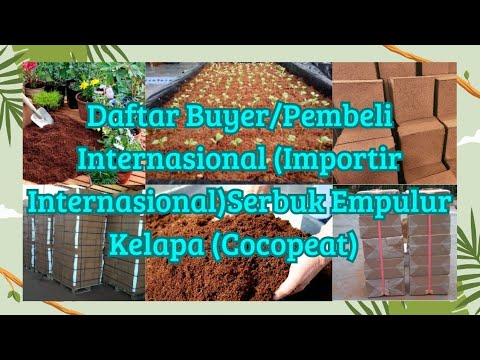 Daftar Perusahaan Importir/Buyer Internasional Cocopeat (Serbuk/Empulur ...