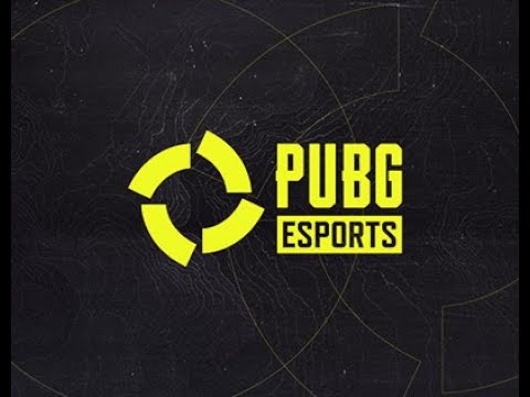 PROFESSIONAL PUBG PC PLAYER Lo - YouTube