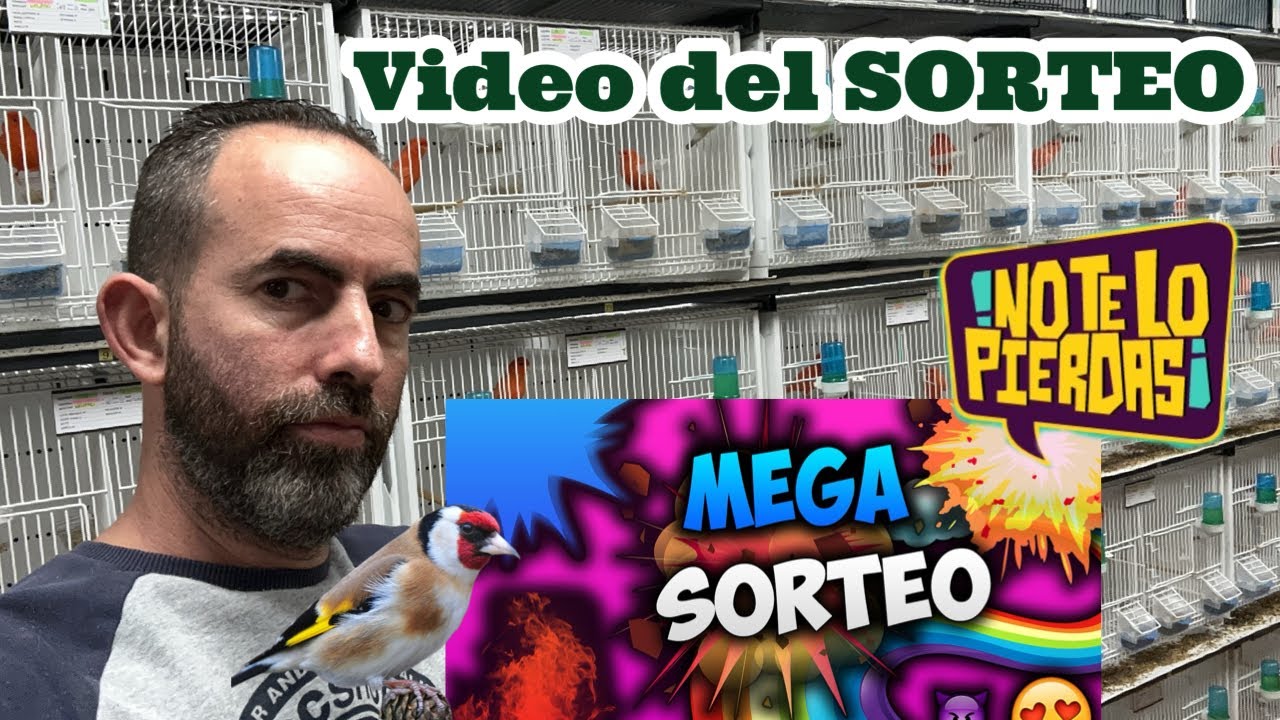 Video del SORTEO!! - YouTube