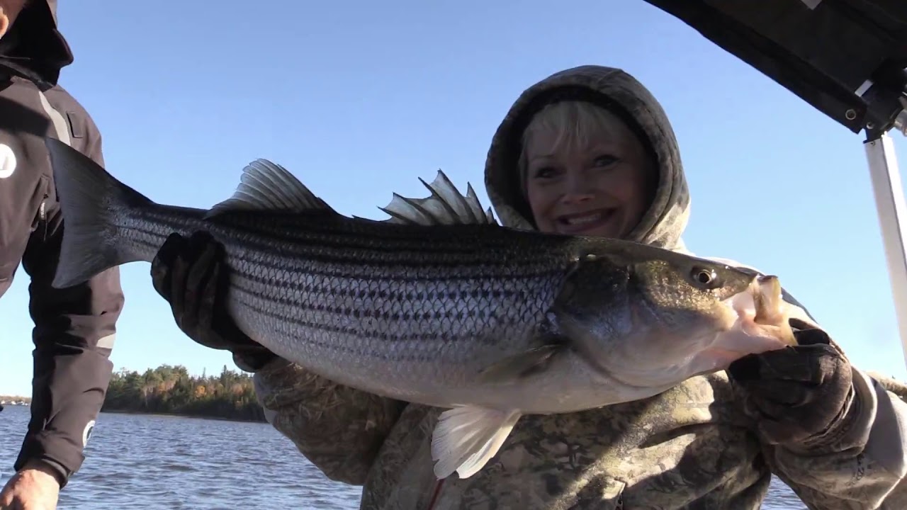 barre rayer miramichi nb - YouTube