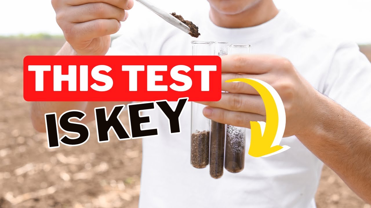 Testing Garden Soil Texture. Soil Scientist Explains Why Soil Texture ...