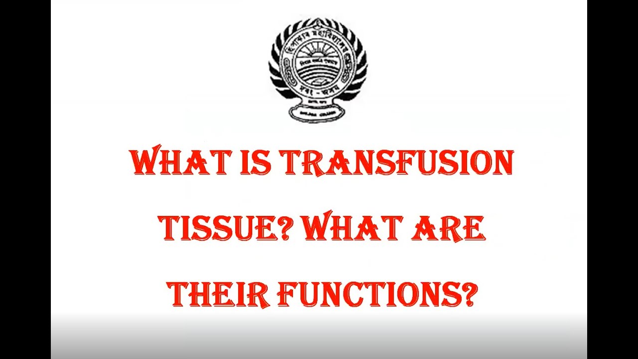 Transfusion Tissue - YouTube