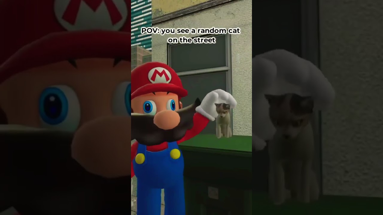 when you see a random cat on the street (CREDIT TO Smg4) #shorts - YouTube