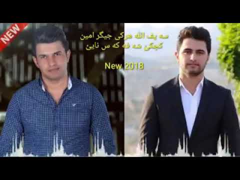 saiflla harki jegr amin 2019