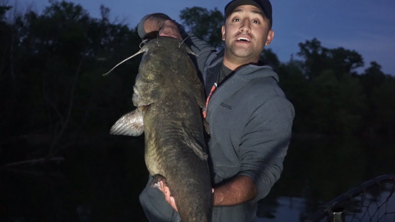 My LUCKY Rod Gets It Done! - Flathead Catfishing - YouTube