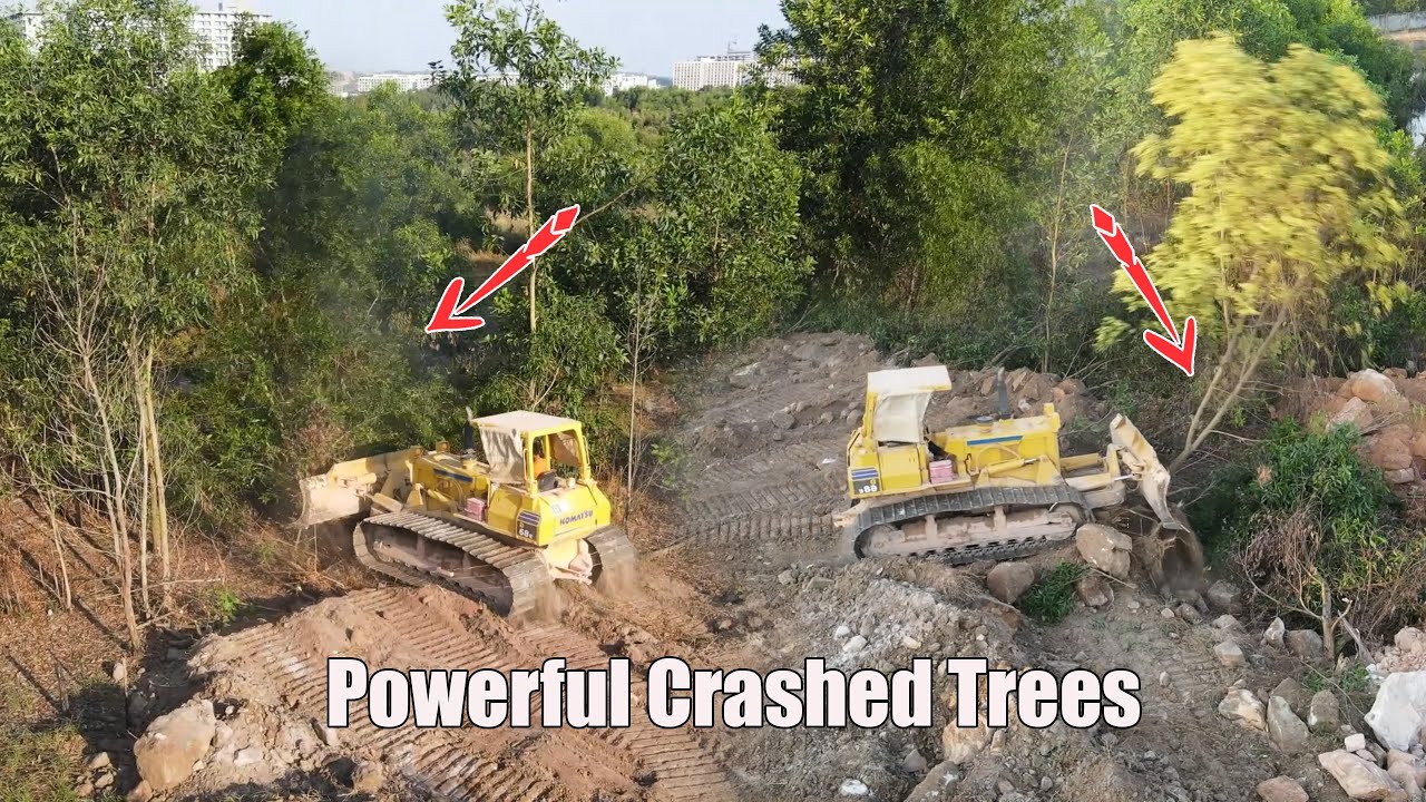 Incredible Perfective Komatsu Dozers Pushing and Crushed trees to ...