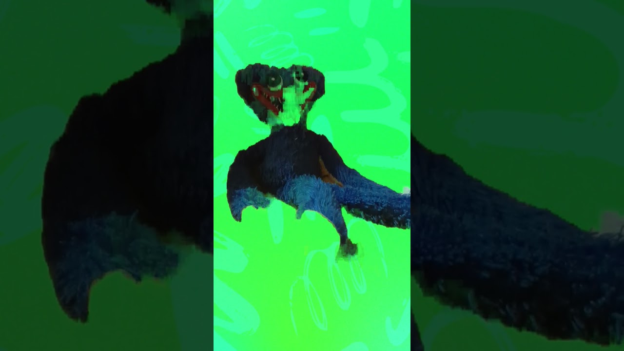 bugui bugui y su evolución - YouTube