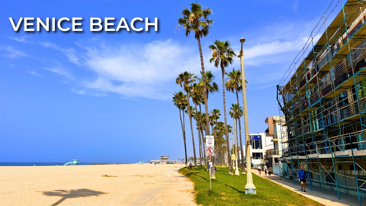 Relaxing Venice Beach Walk 🇺🇸 Pier to Skate Park Loop | Oceanfront 4K ...