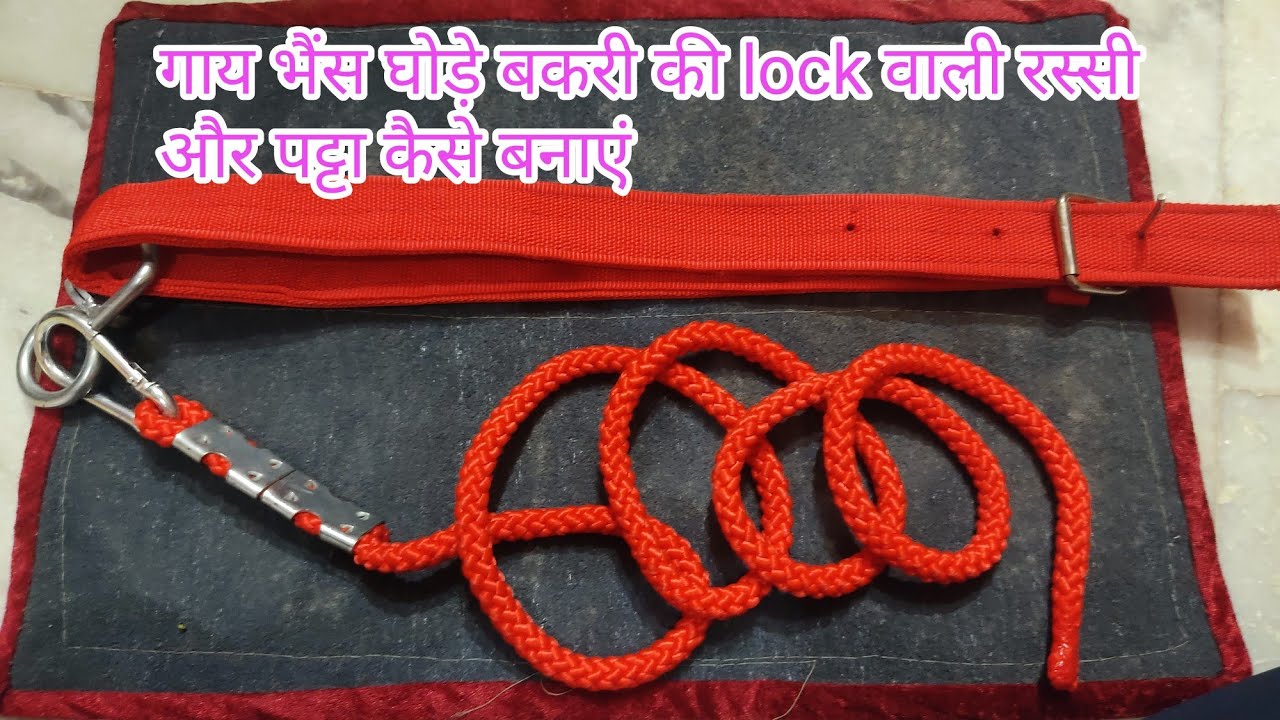 गाय भैंस घोड़े और बकरी की lock wali rassi और गले में लगाने वाला पट्टा ...