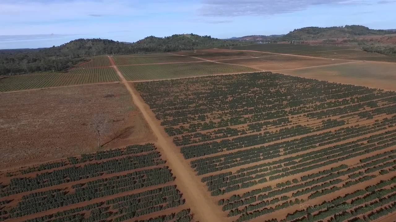 Paksong Highland Co.,Ltd Demo - YouTube