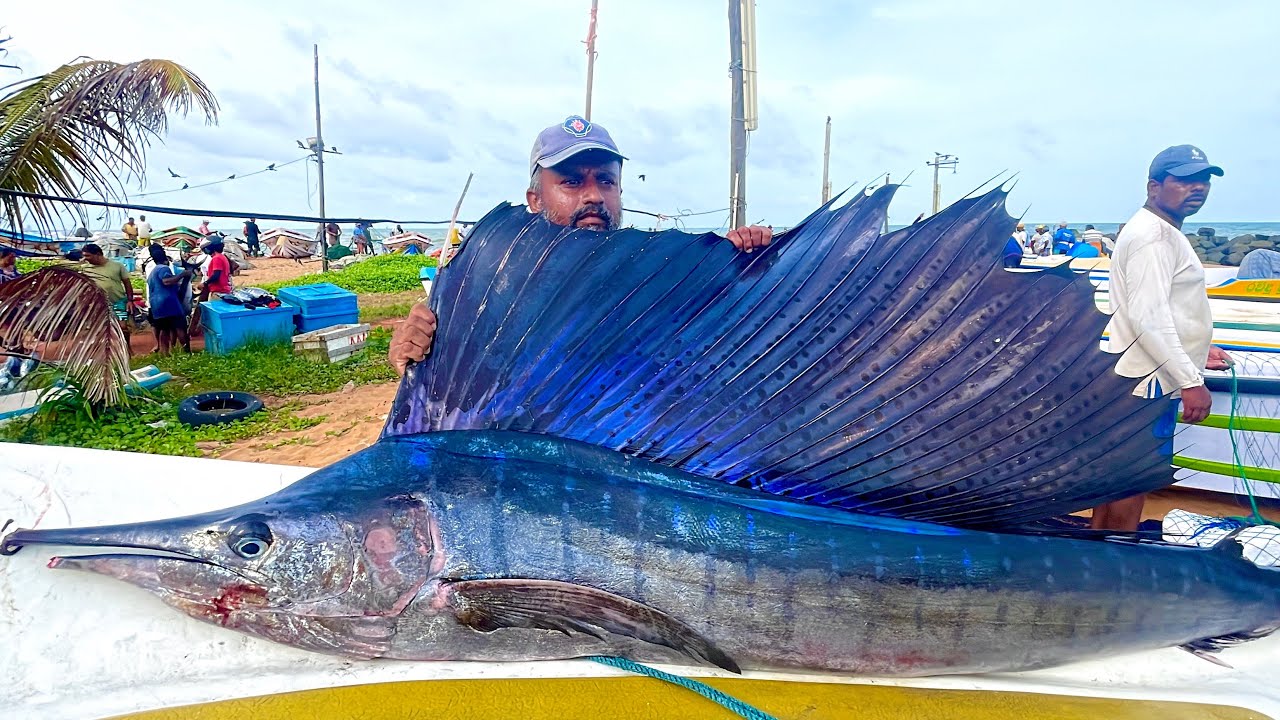 Wow Awesome! Village street fish market fisherman's life and hard work ...