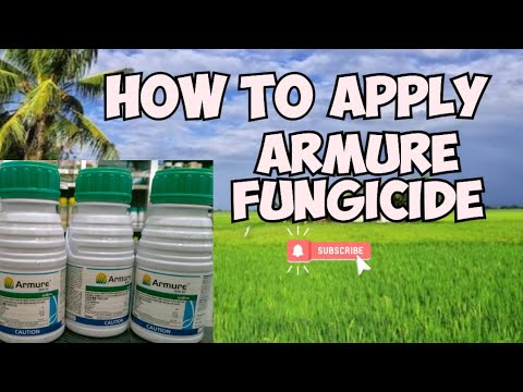 How To Apply Armure Fungicide - YouTube