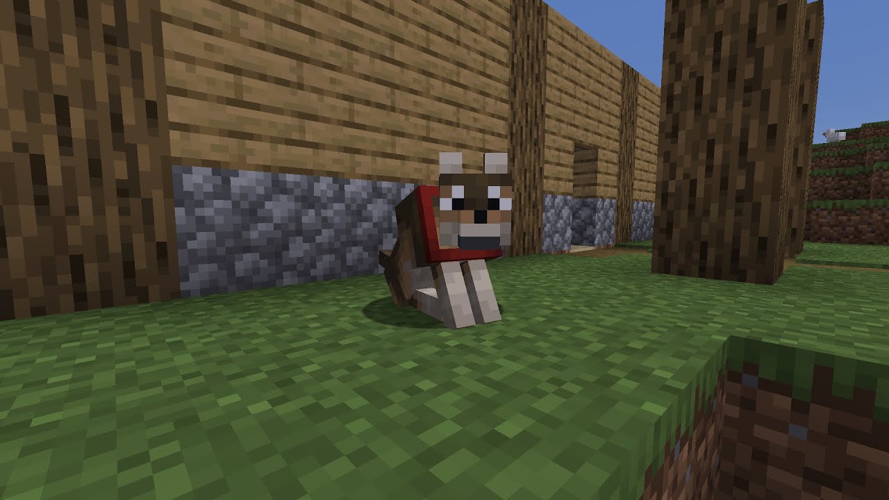 Minecraft | Episode 2 | Base Building and Gearing Up - YouTube