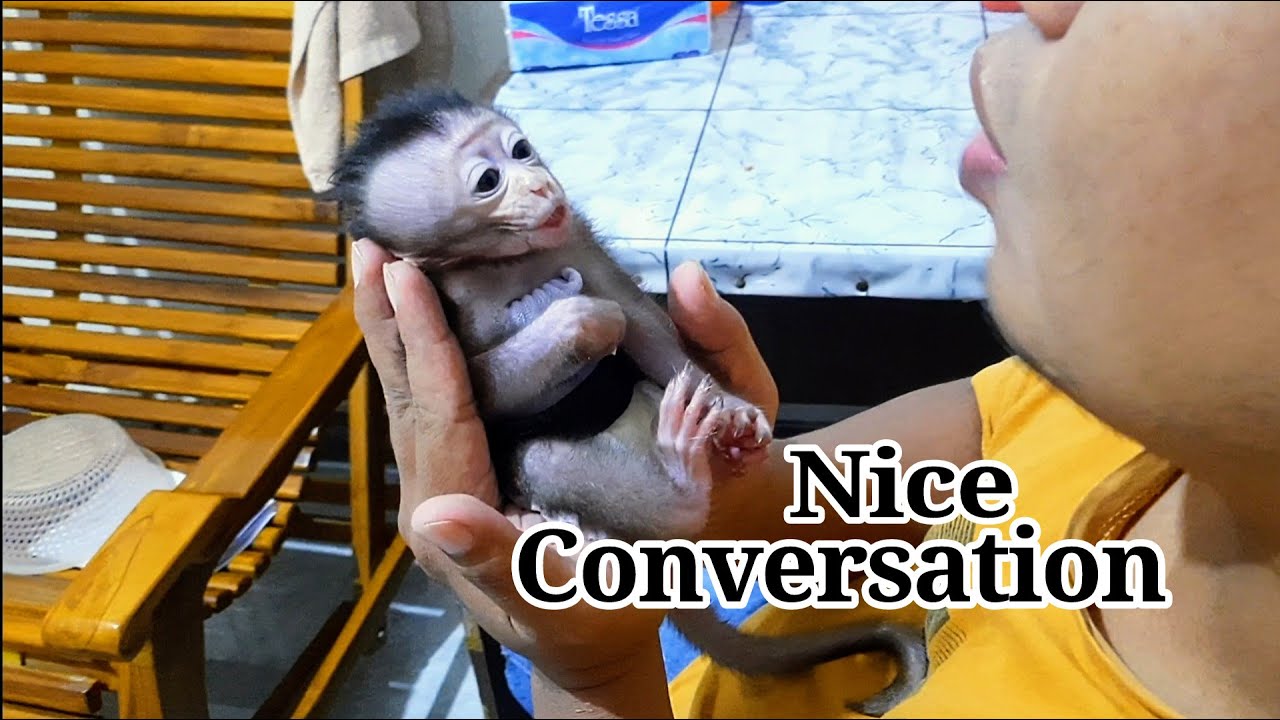 do you know our conversation? what libby said?? - YouTube