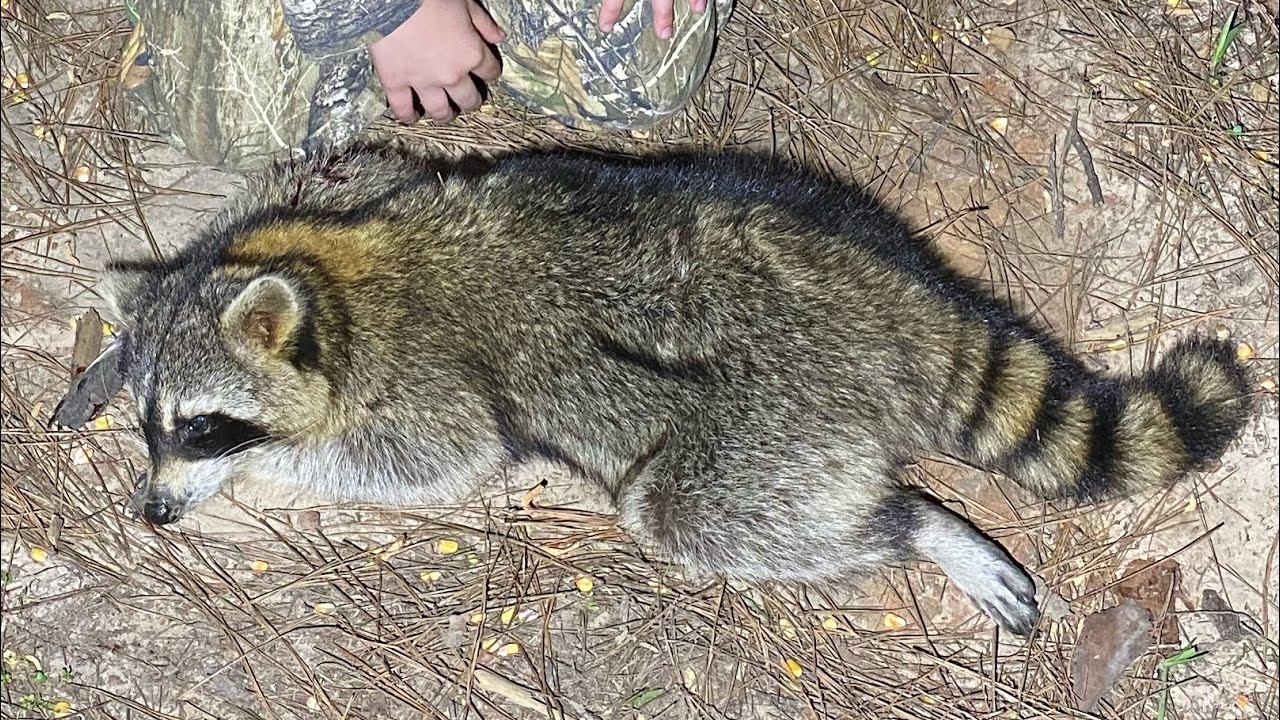 Keatons first kill - YouTube