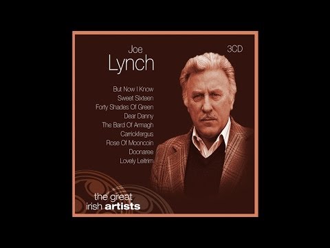 Joe Lynch - But Now I Know [Audio Stream]