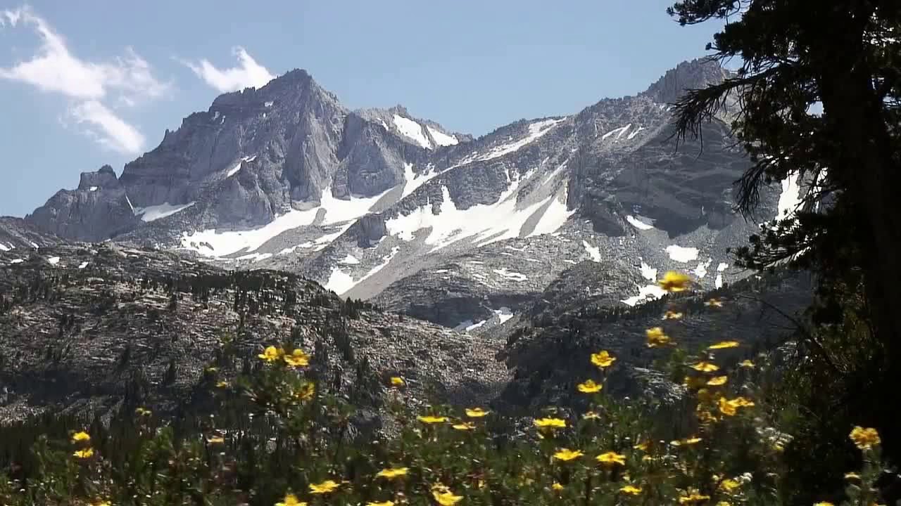 Jate Huye Ye Pal Chhin ...Cover by Satyendra Shrivastava - YouTube