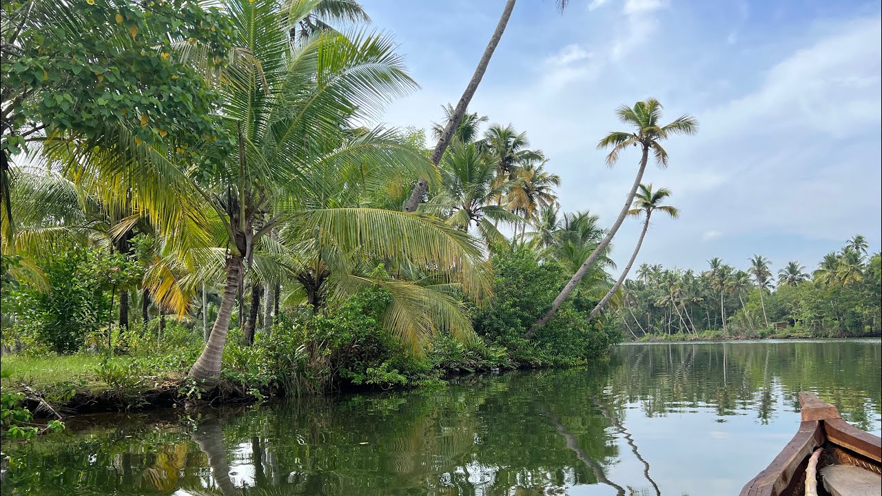 The Real Kerala Story - YouTube