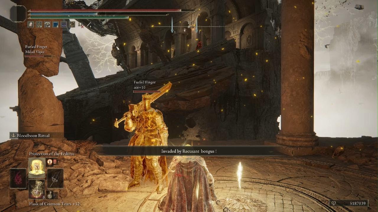 Do not. Invade. Princess Badger. #eldenringgameplay #eldenringpvp - YouTube