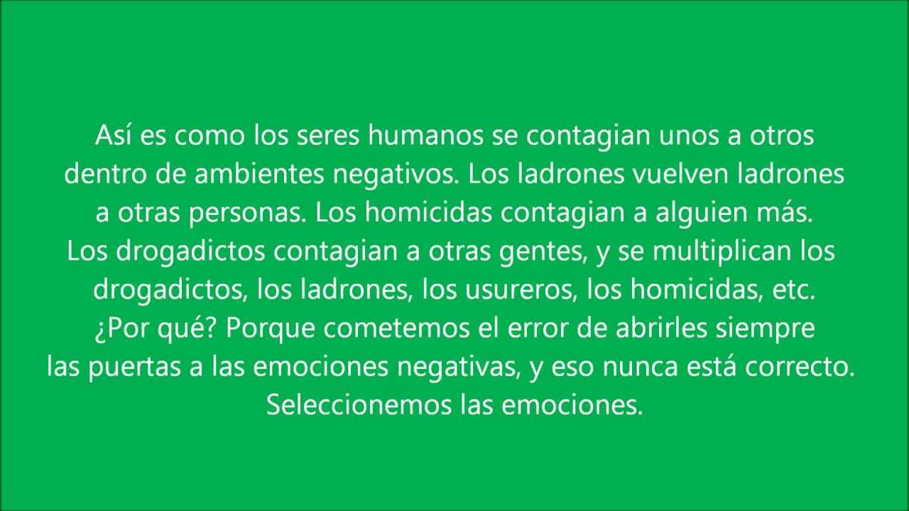 Conducta Gregaria - YouTube