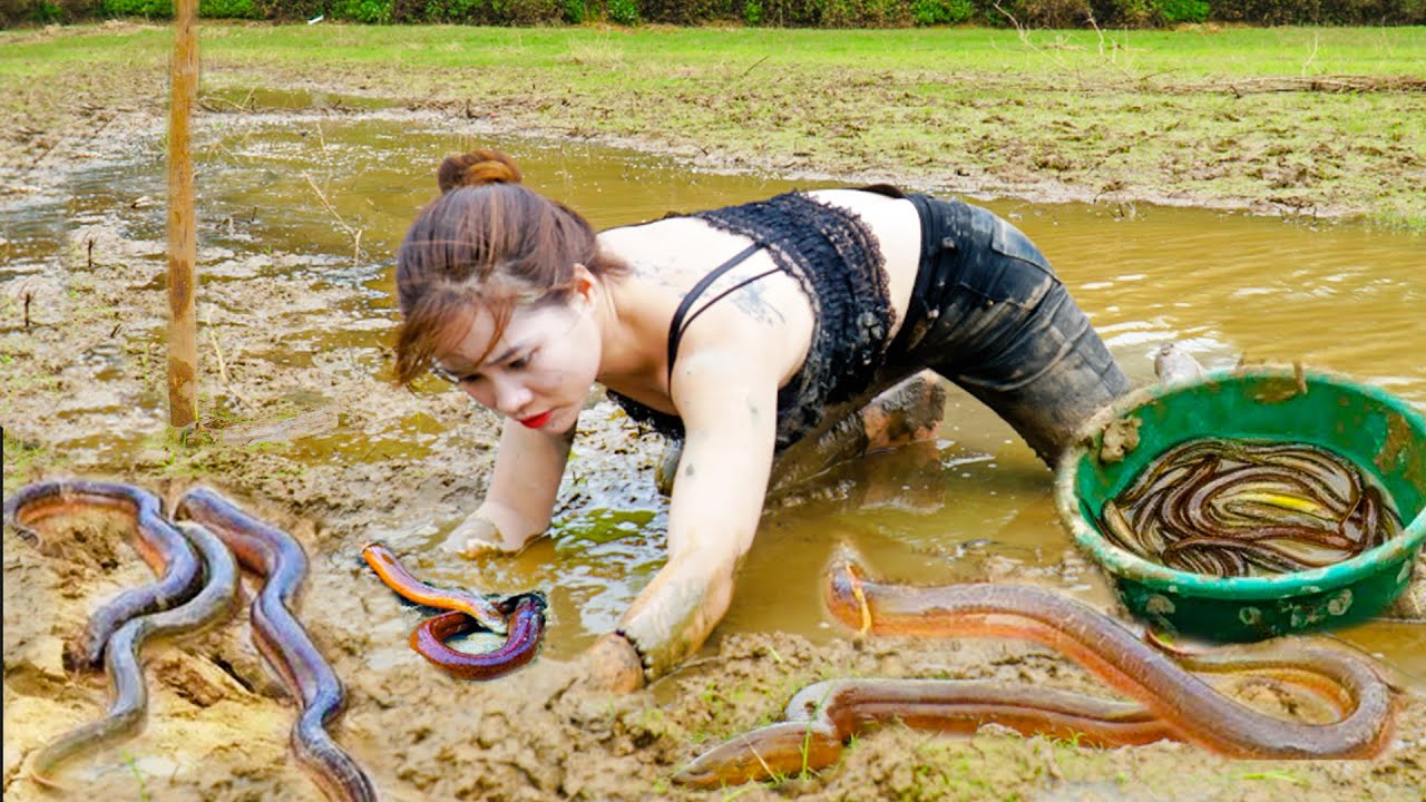 Happy day - Catch Giant Eels in the Lagoon - Cook Stir-fried Eel - Build a Bathroom | Country ...
