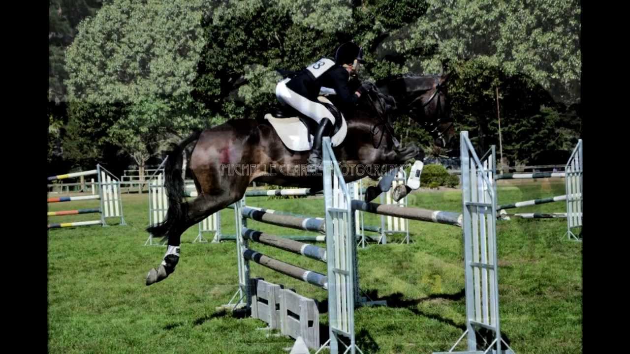 Goodbye Rocky; I will always love you. - YouTube