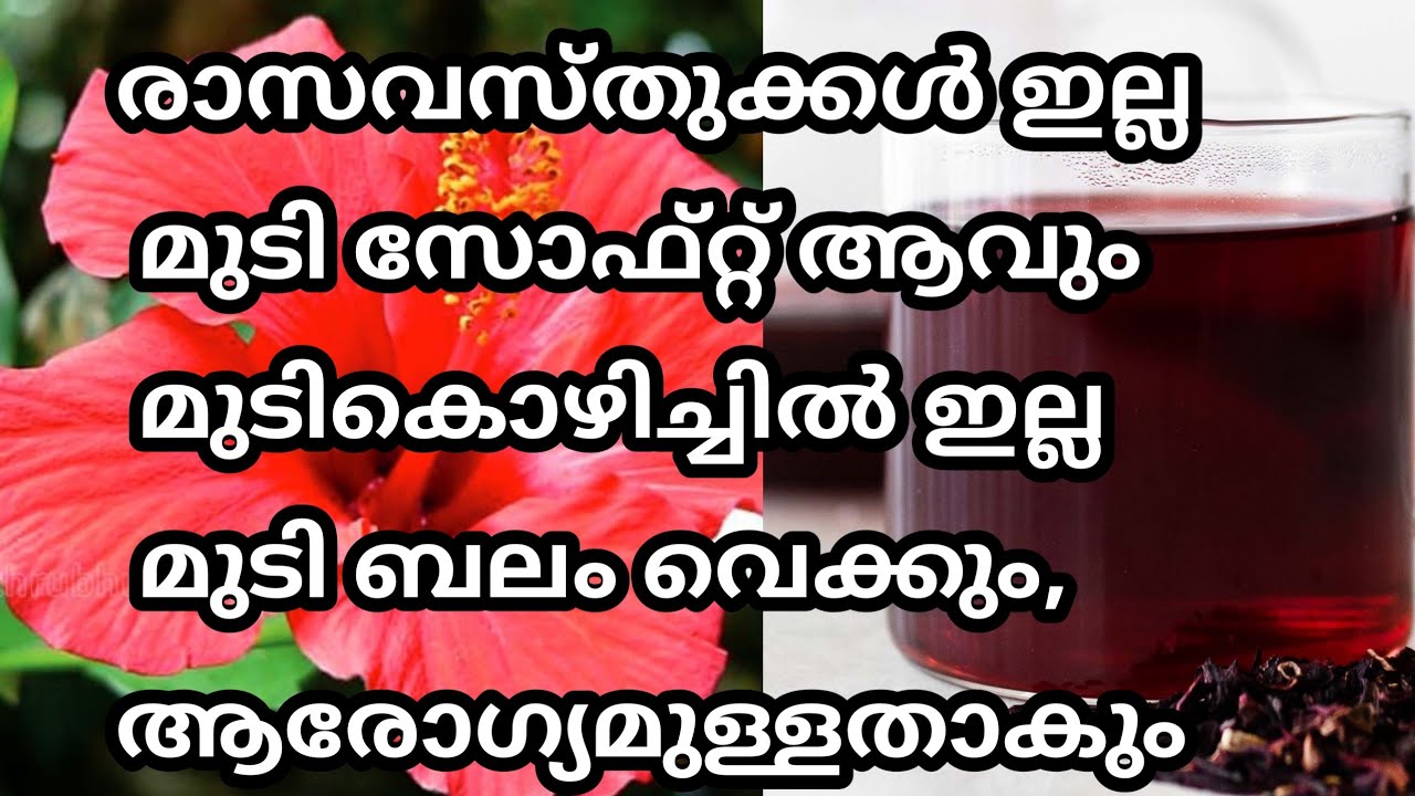 Chembarathi Thali For Faster Hair Growth/Archa's malayalam - YouTube