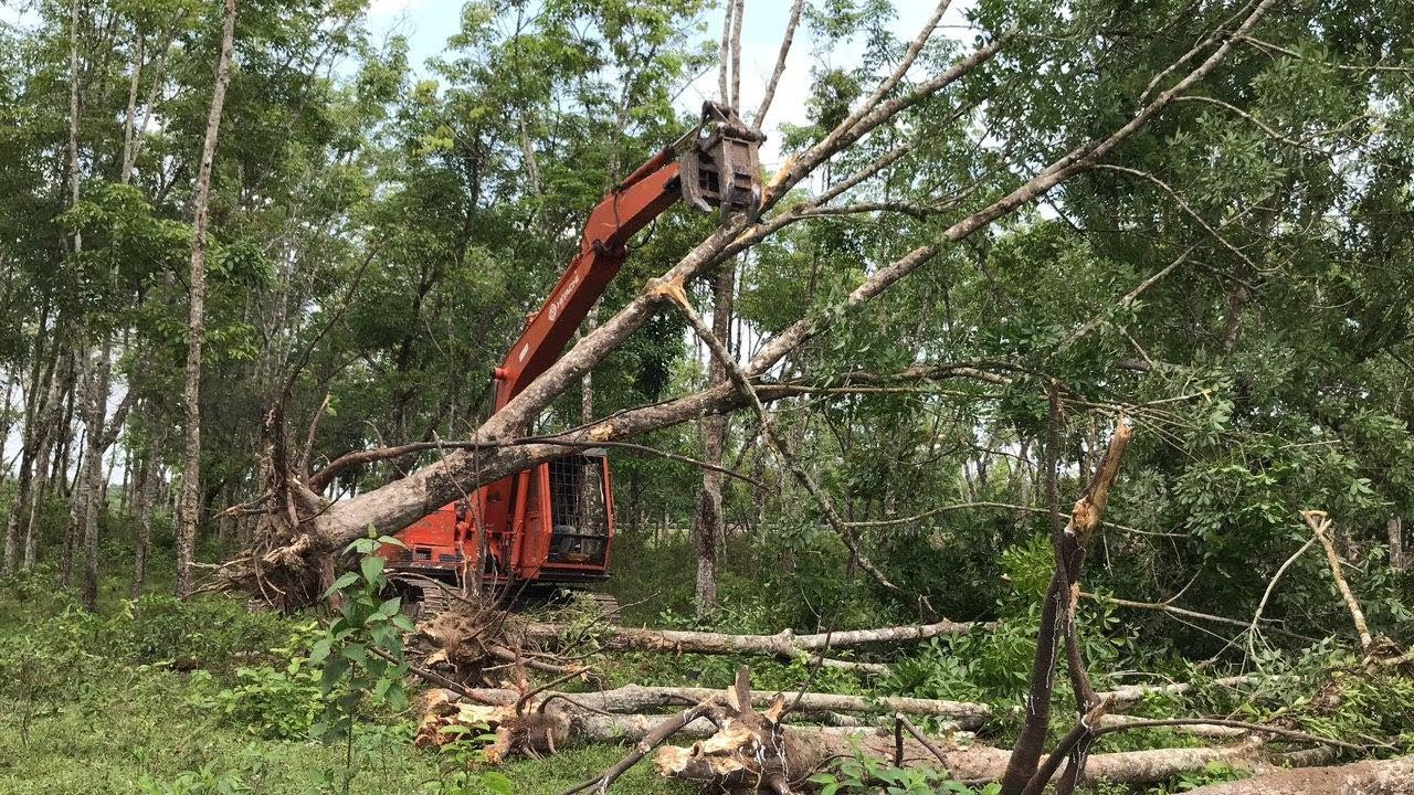 EXCAVATOR PUSHING RUBBER TREE l EXCAVATOR TOLAK POKOK GETAH PART 1 ...