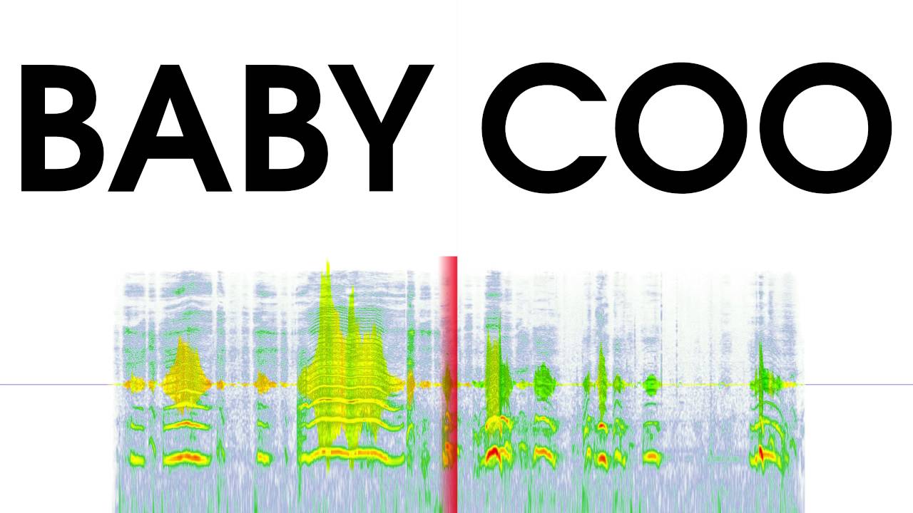 Baby Coo Sound Effects - YouTube