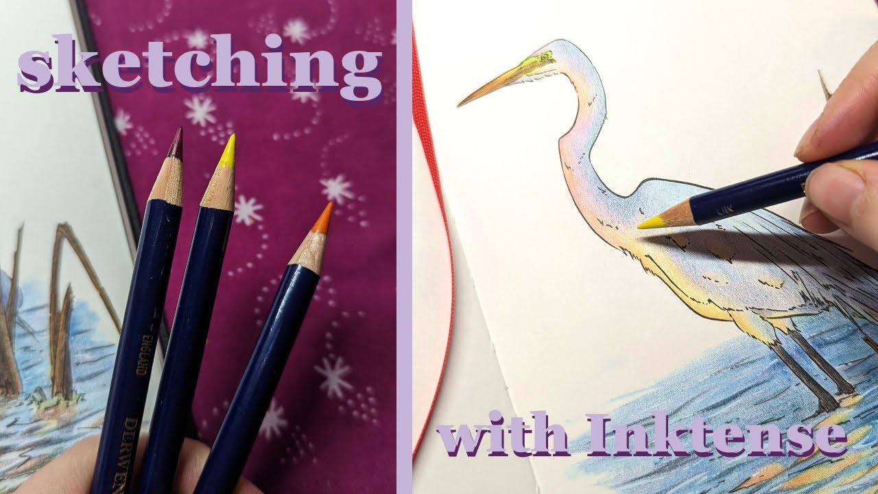 Sketchbooking with Derwent Inktense pencils Colouring Egret Brush Pen ...