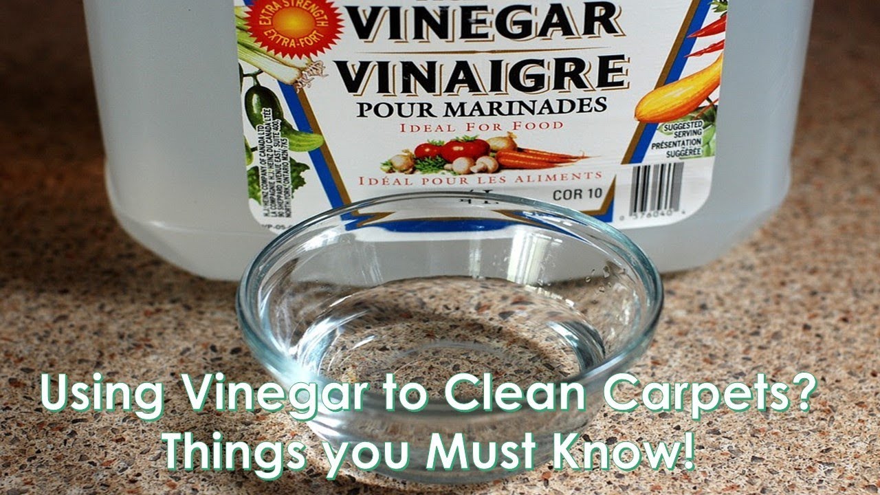 Using Vinegar to Clean Carpets? Things you Must Know! - YouTube