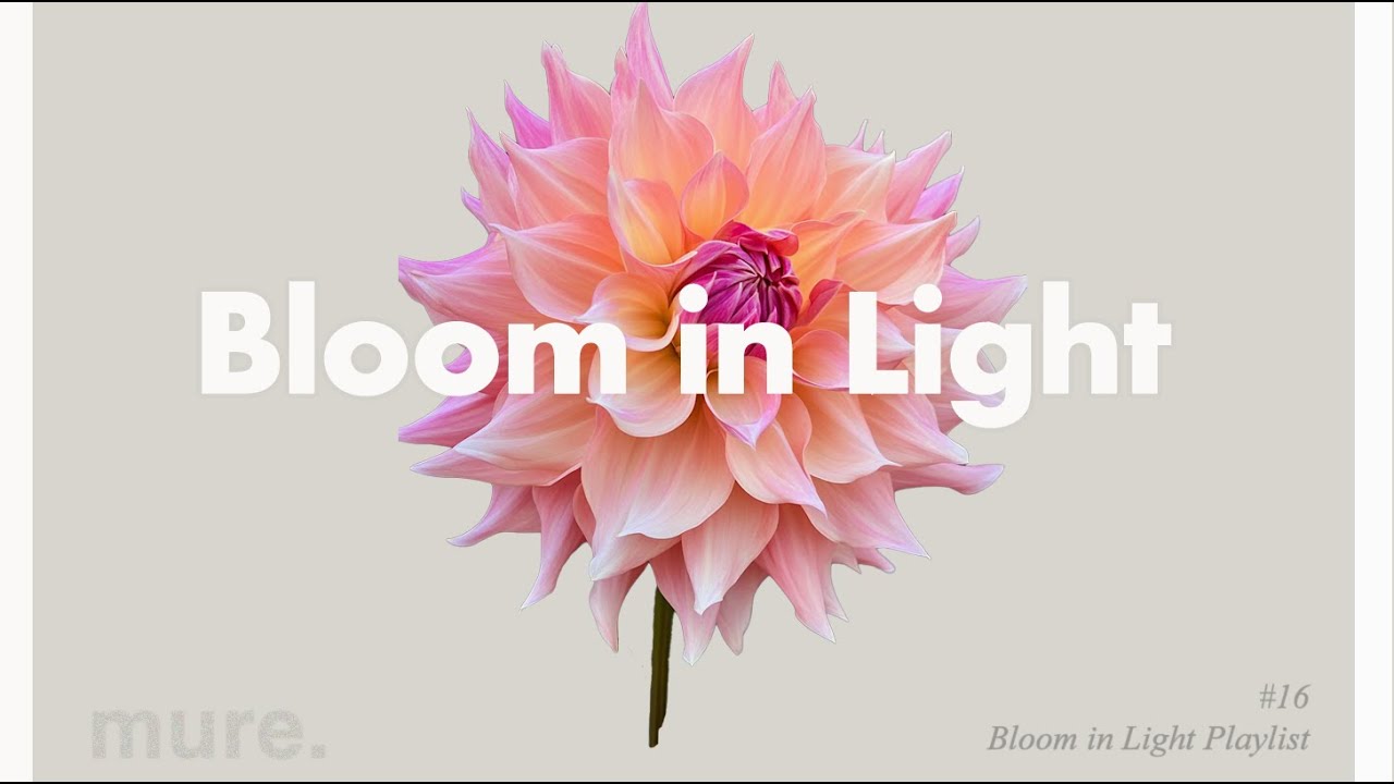 Bloom in Light | Chill House for Calm Energy & Creative Focus - YouTube