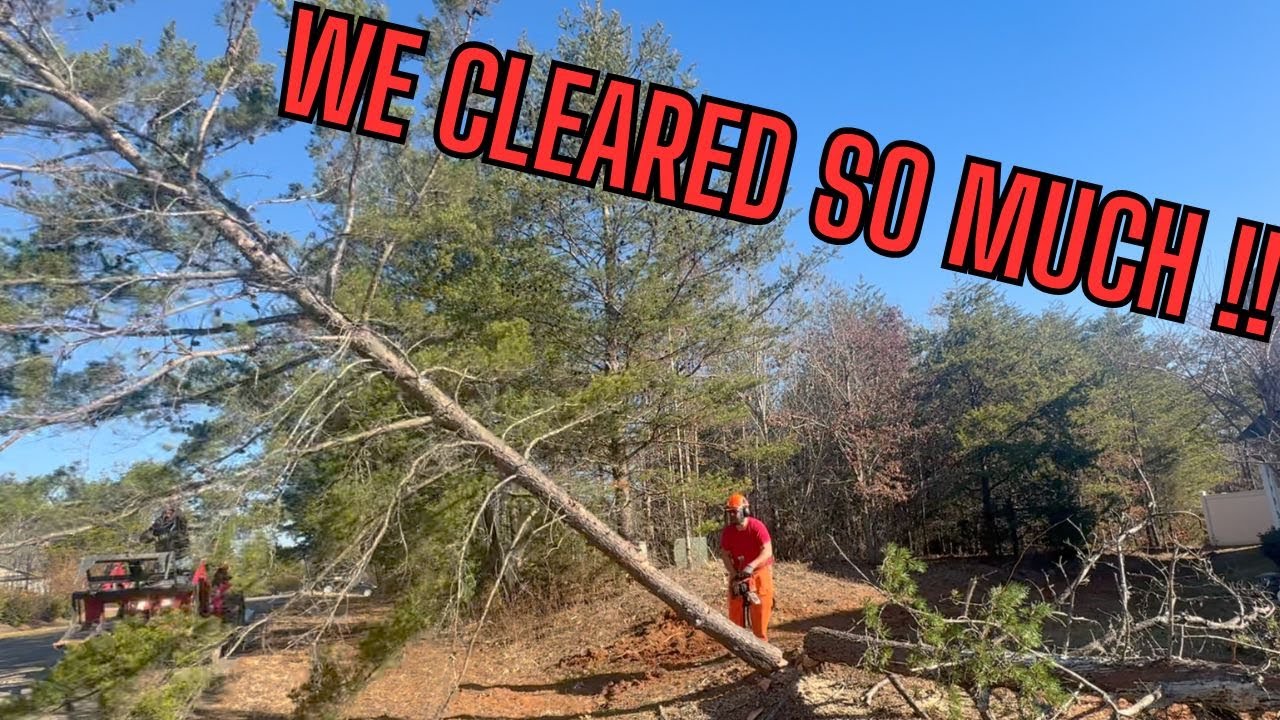 Winter Clean UP! Starting to see some progress.. - YouTube