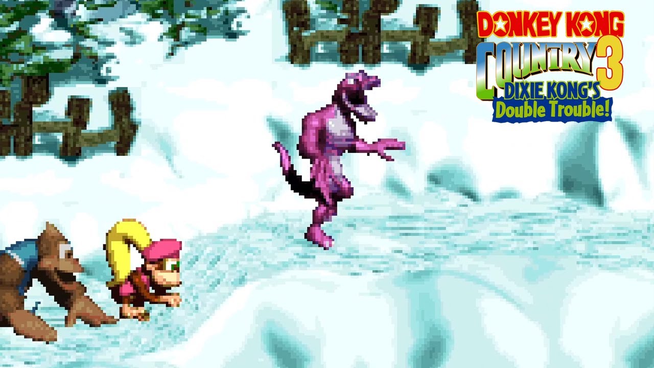 DONKEY KONG COUNTRY 3 - How to Complete SKIDDA'S ROW Level on the snow ...