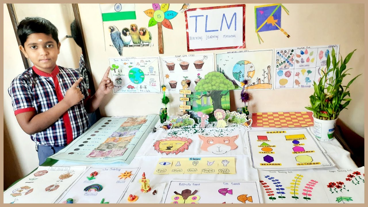 Easy TLM || TLM Exhibition || TLM Explanation For Students || TLM For ...