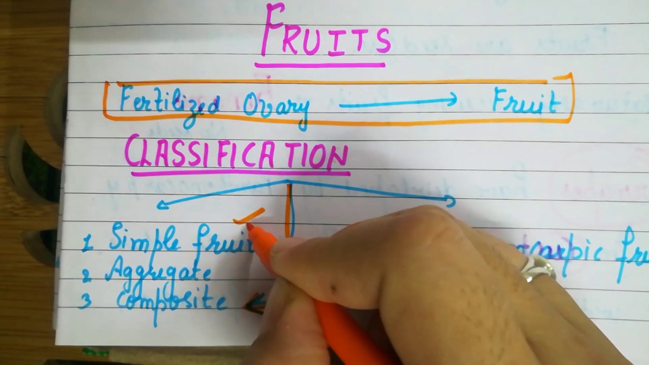 Seeds , Fruits , artificial hybridization class xii biology - YouTube
