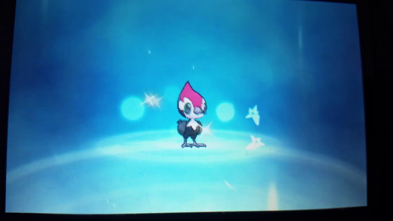 Shiny Pikipek evolves into shiny trumbeak! - YouTube