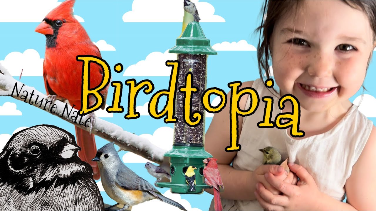 BIRDTOPIA (Nature Nate) - YouTube