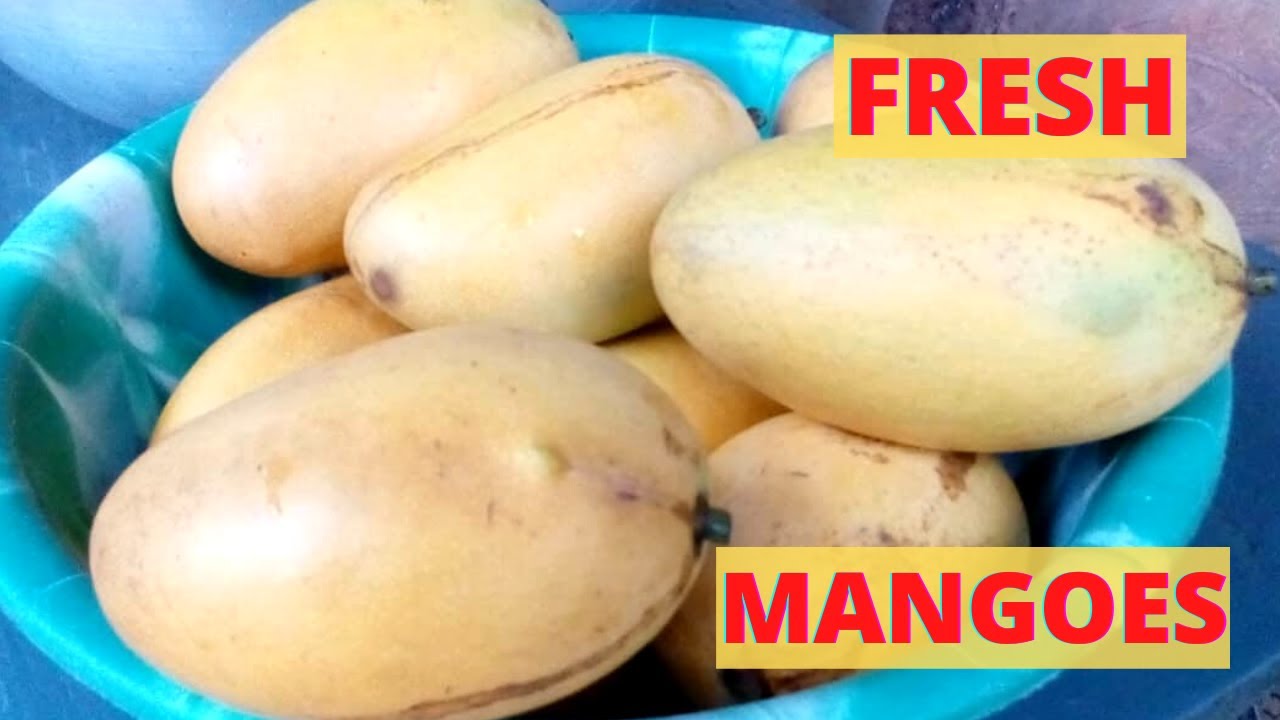 How We Enjoy Eaten Fresh Mango Lots Of Vitamin (Nature With Kafui ...