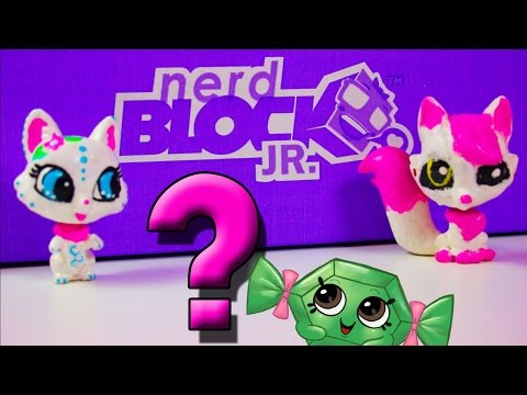 NERD BLOCK JR Girls Surprise Subscription Box! With New Custom LPS  ( Littlest Pet Shops )