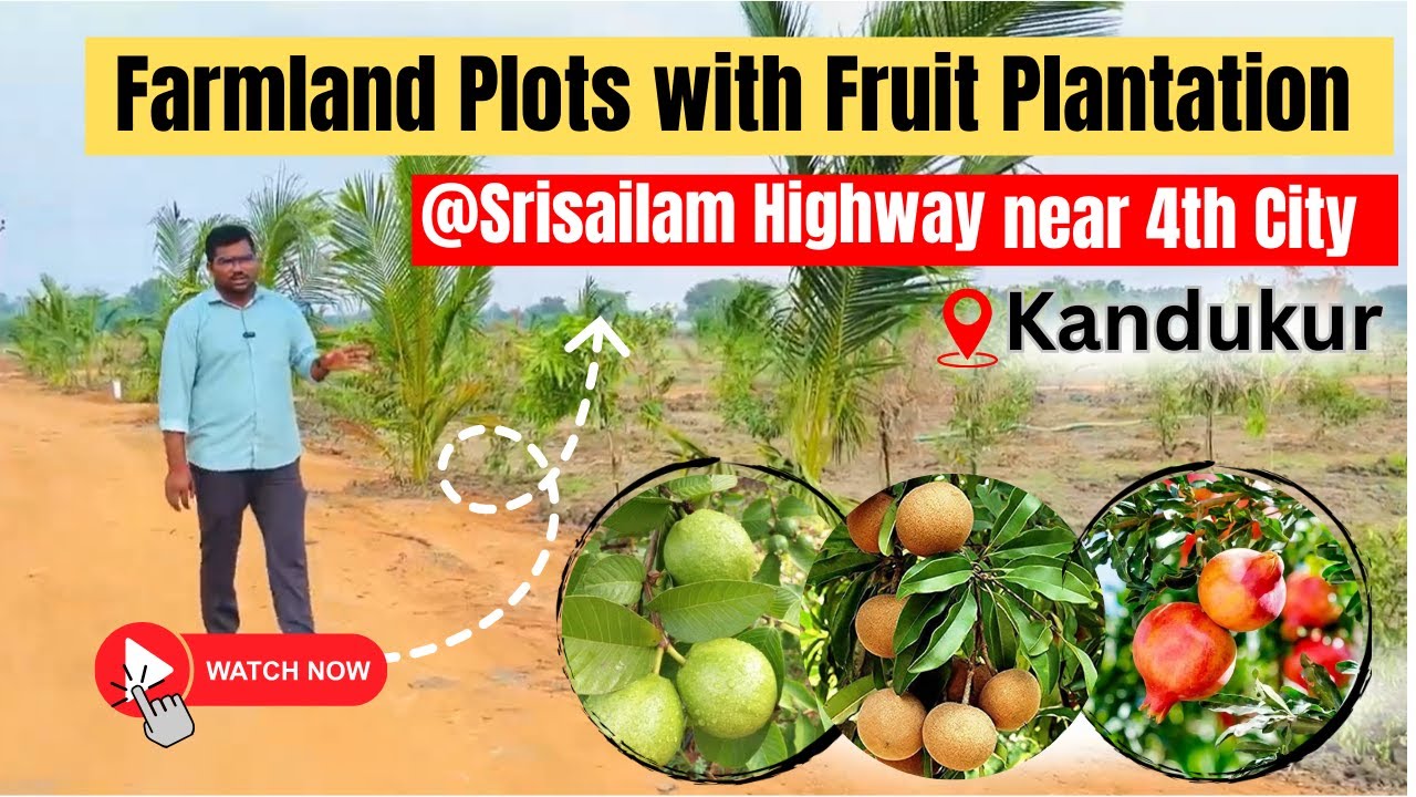 Farmland Plots @Srisailam Highway near Fourth City | Farm Plots in ...