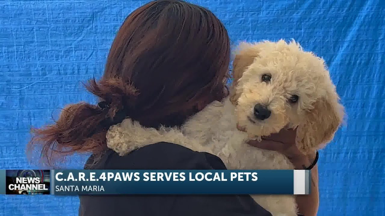 C.A.R.E.4Paws serves hundreds of local pets with up to date care - YouTube