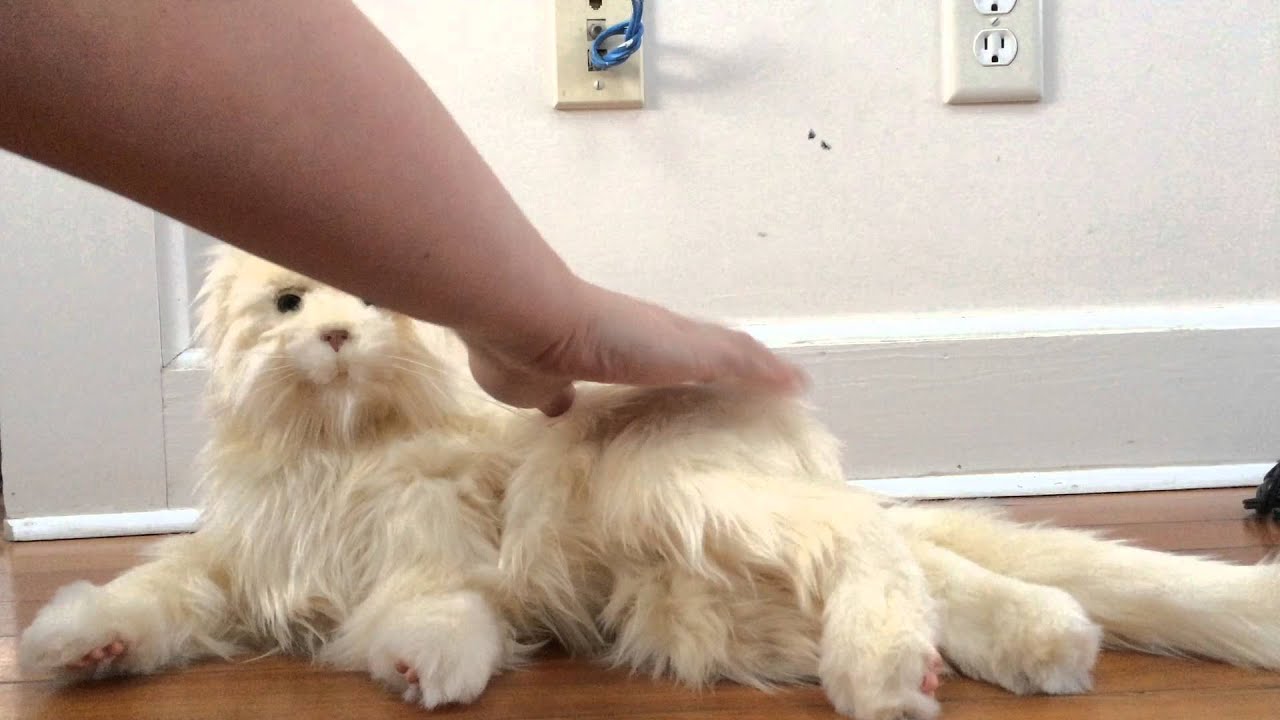 Joy For All Robot Cat by Hasbro - YouTube