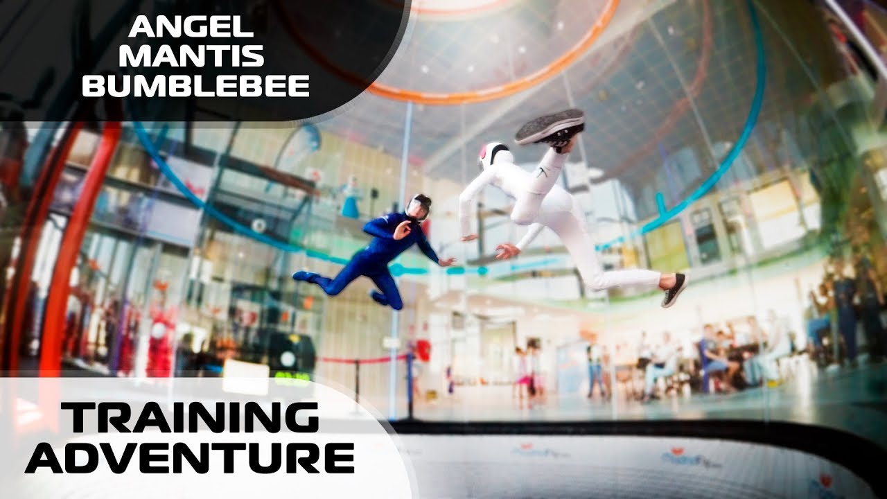 Angel, Mantis, Bumblebee and others training adventure (Leo & Sydney ...