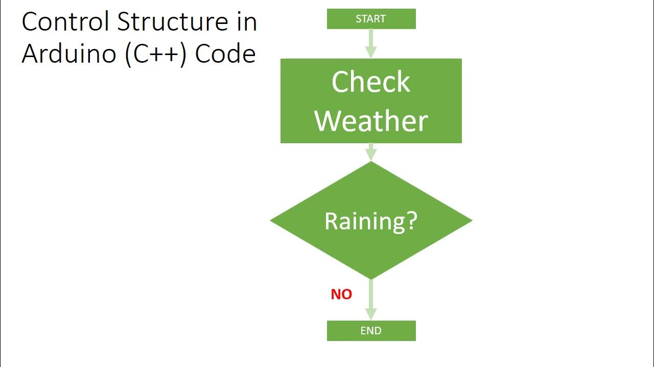 Introduction to Microcontrollers: Algorithms and Variables - YouTube