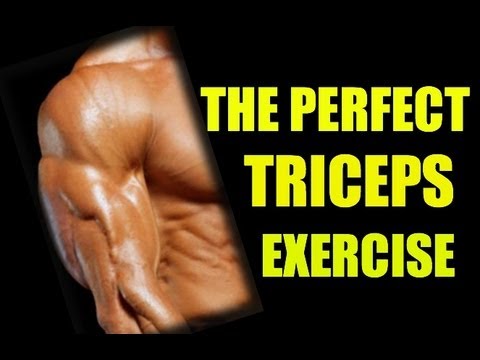 THE PERFECT TRICEPS - YouTube